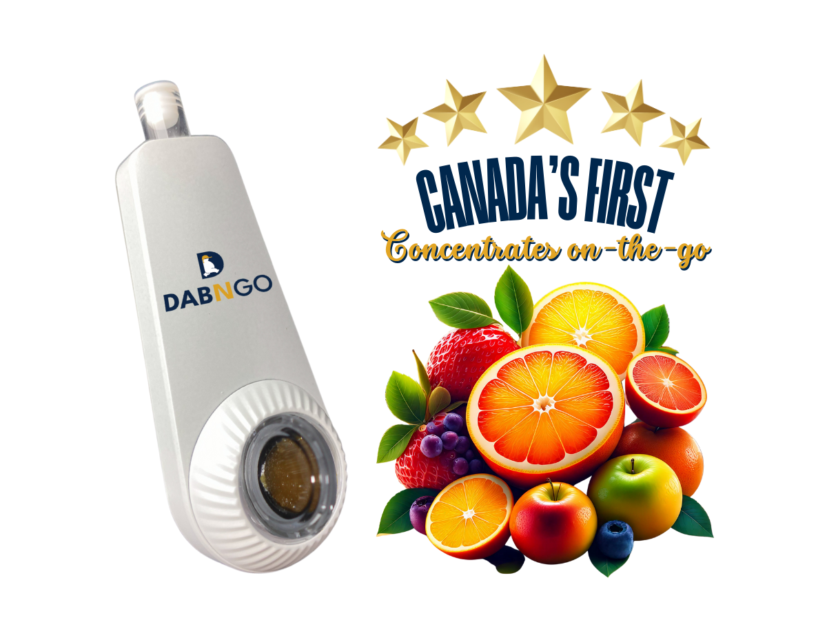 DAB BODS - Stigma Grow